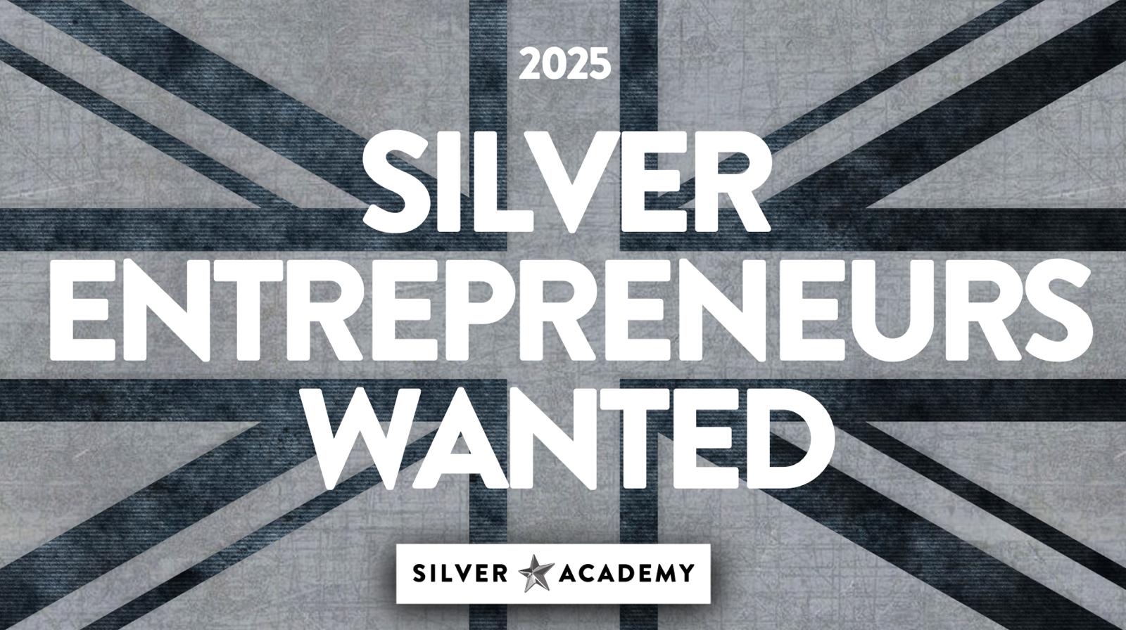 The Silver Academy - The Silver Academy